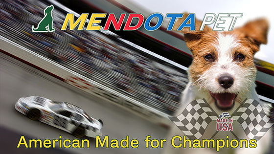 Making Tracks 🐾 at the Races🏁 – Mendota Pet