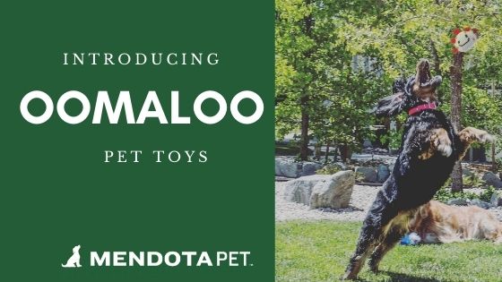 Introducing OoMaLoo Handmade Toys – Mendota Pet