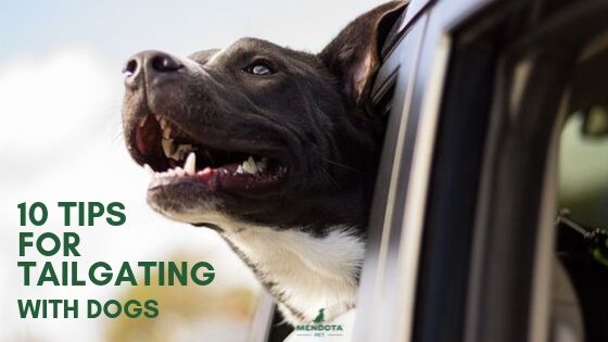 10 Tips for Tailgating with Dogs – Mendota Pet