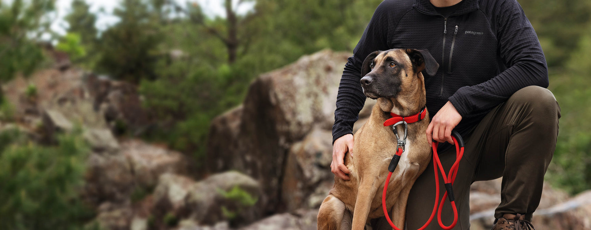 High Quality Made in USA Dog Leashes With Lifetime Warranty – Mendota Pet