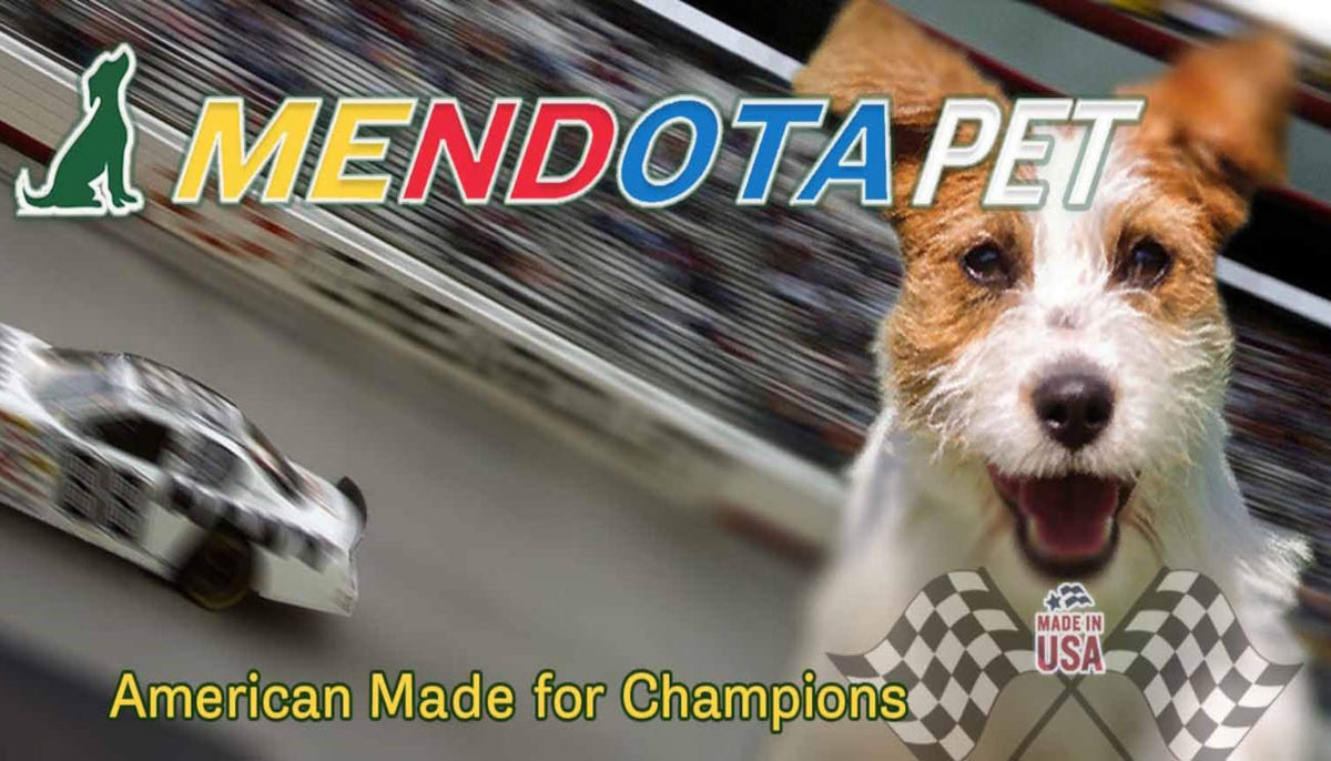 High Quality Made in USA Dog Leashes With Lifetime Warranty – Mendota Pet