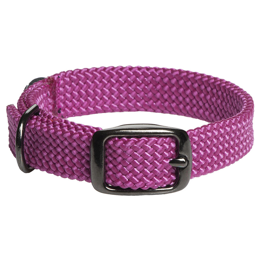 Made in USA Dog Collars with Lifetime Warranty – Mendota Pet